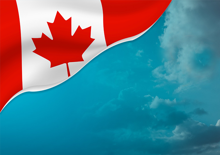 Home - Indimed Health Intelligence